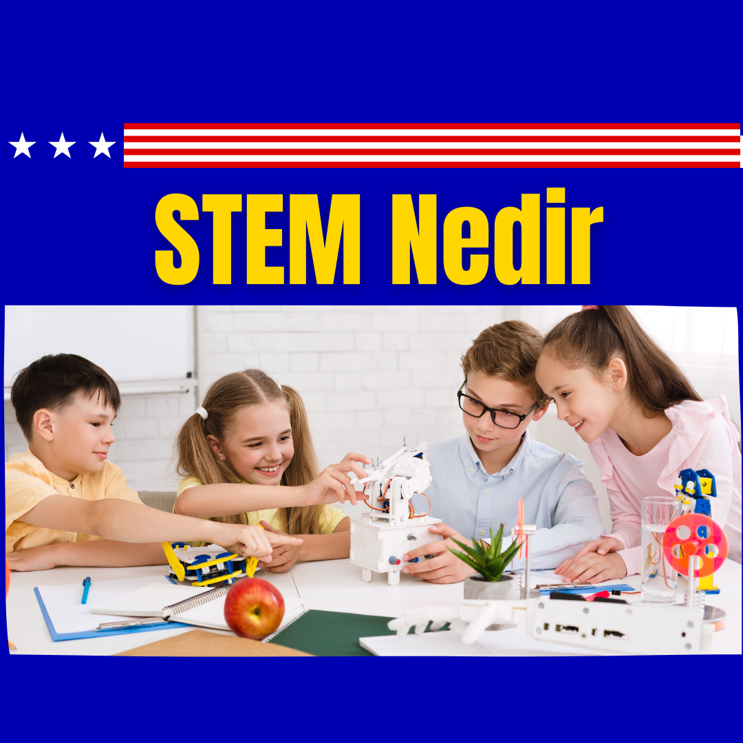 Stem Nedir Ve Ne İşe Yarar - KAYZ International